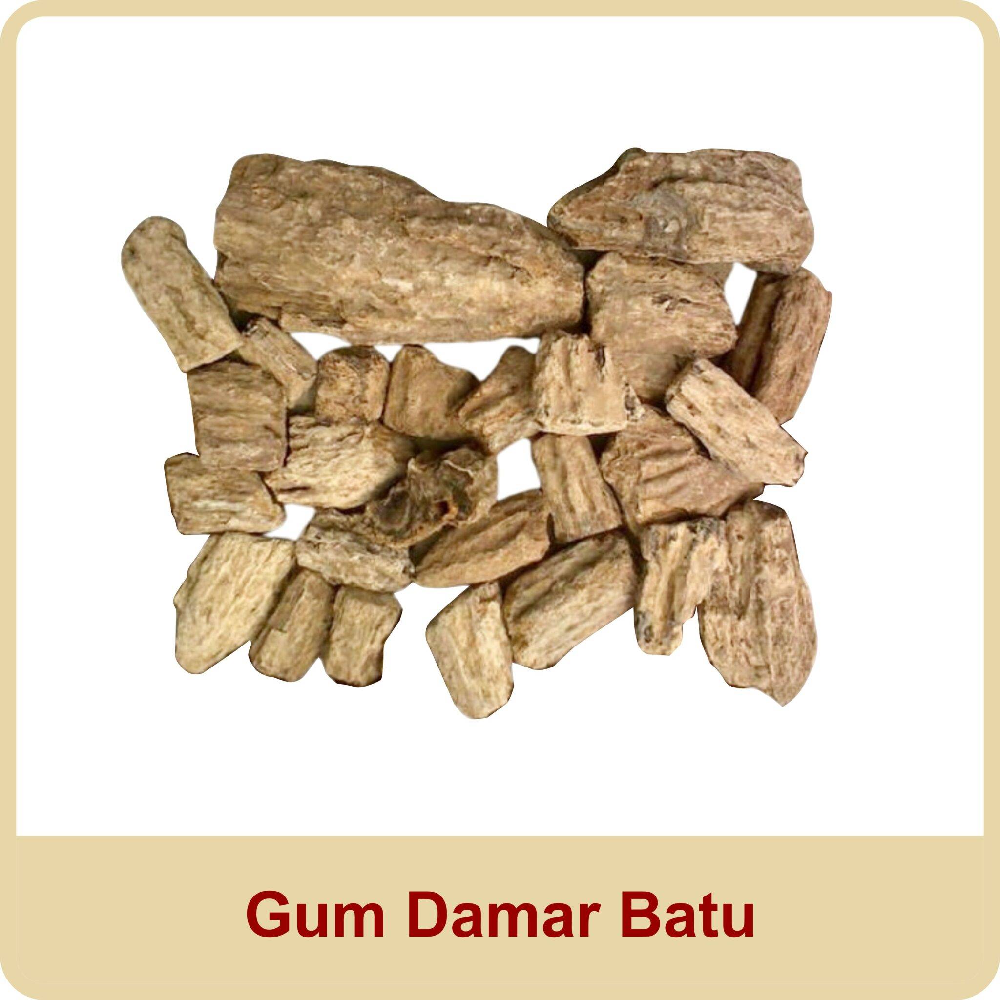 Home - Gum Damar Suppliers