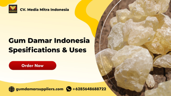 Gum Damar Indonesia : Specifications and Uses - CV.Memindo