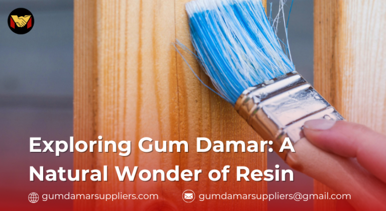 Exploring Gum Damar: A Natural Wonder of Resin