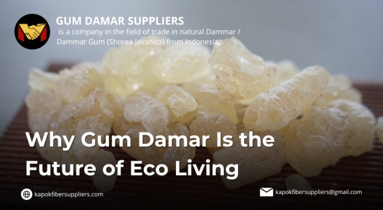 Why Gum Damar Is the Future of Eco Living